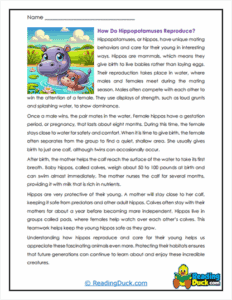 Hippopotamus Reading Comprehension Worksheets | Reading Duck.com