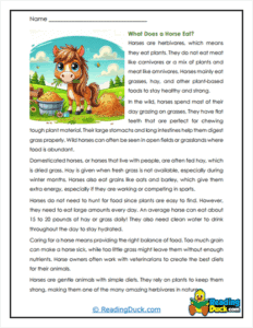 Horse Reading Worksheets | Reading Duck.com