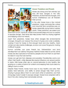 Horse Reading Worksheets | Reading Duck.com