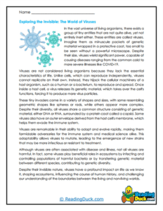 Viruses Worksheets
