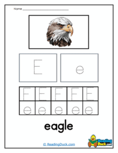Letter E Worksheets | Alphabet Learning Series | Reading Duck.com