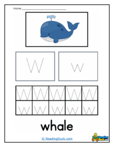 Letter W Worksheets | Pre-Reading Series | Reading Duck.com