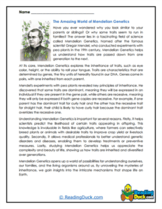 Genetics Worksheets | Genes | | Reading Duck.com