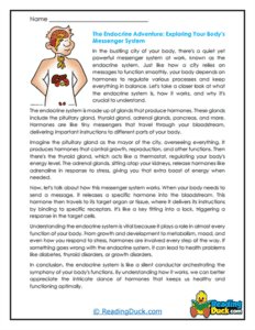 Endocrine System Worksheets | Human Body | Reading Duck.com