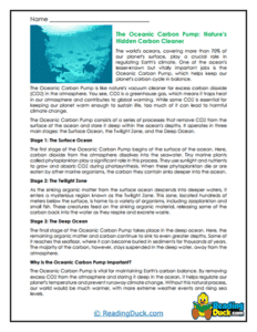 Carbon Cycle Worksheets | Reading Duck.com