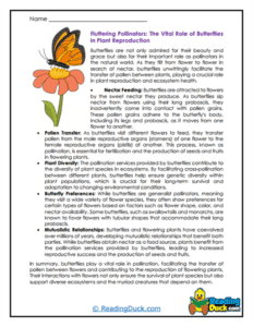Butterfly and Butterflies Worksheets | Reading Duck.com