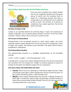 Carbon Cycle Worksheets | Reading Duck.com