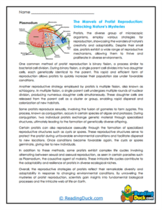 Protists Reading Worksheets | Reading Duck.com