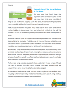 Fungi Reading Worksheets | Reading Duck.com