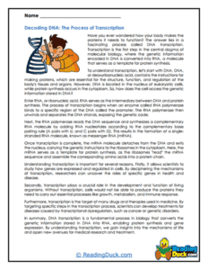 Genetics Worksheets | Genes | | Reading Duck.com