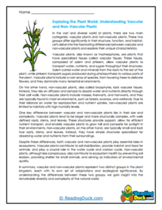 Vascular Plants Worksheets | Reading Duck.com