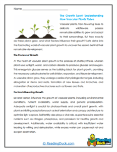 Vascular Plants Reading Worksheets | Reading Duck.com