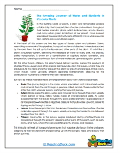 Vascular Plants Worksheets | Reading Duck.com