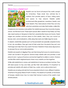 Animals Reading Comprehension Worksheets | Reading Duck.com