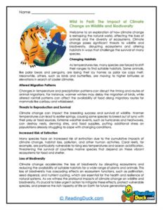 Climate Change Worksheets