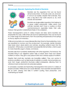 Bacteria Reading Comprehension Worksheets