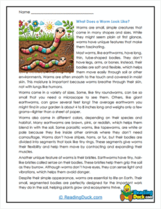 Animals Reading Comprehension Worksheets | Reading Duck.com