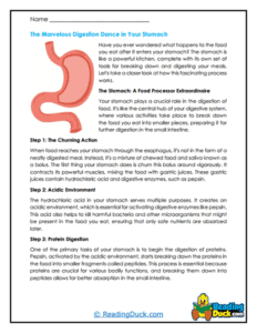 Digestive System Worksheets | Human Body | Reading Duck.com