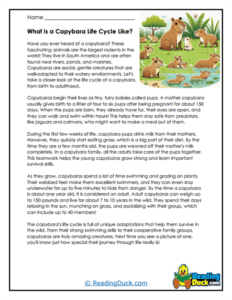 Capybara Reading Worksheets | Reading Duck.com